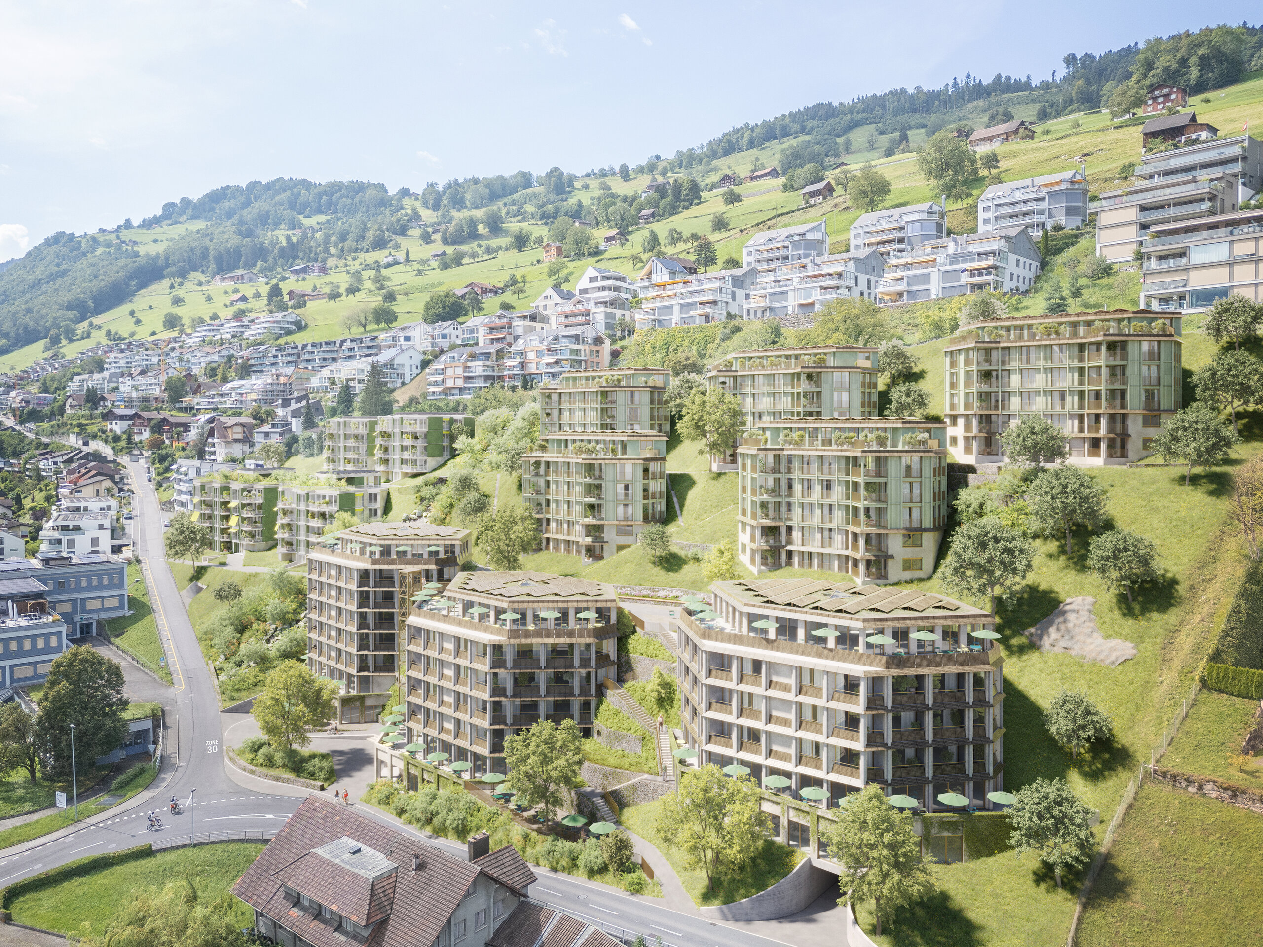 Bitzi Ennetbürgen : Projekt