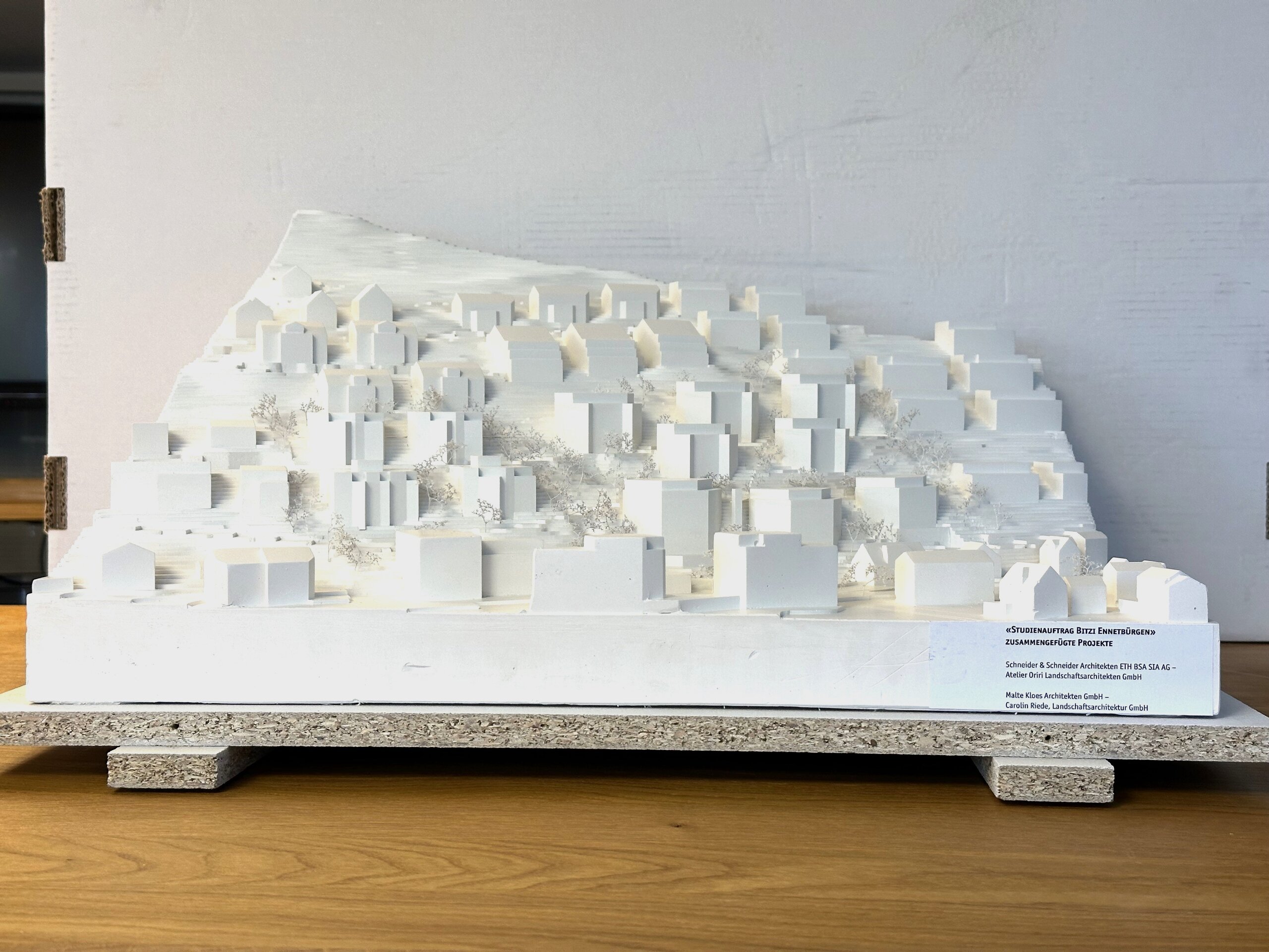 Bitzi Ennetbürgen : Projekt