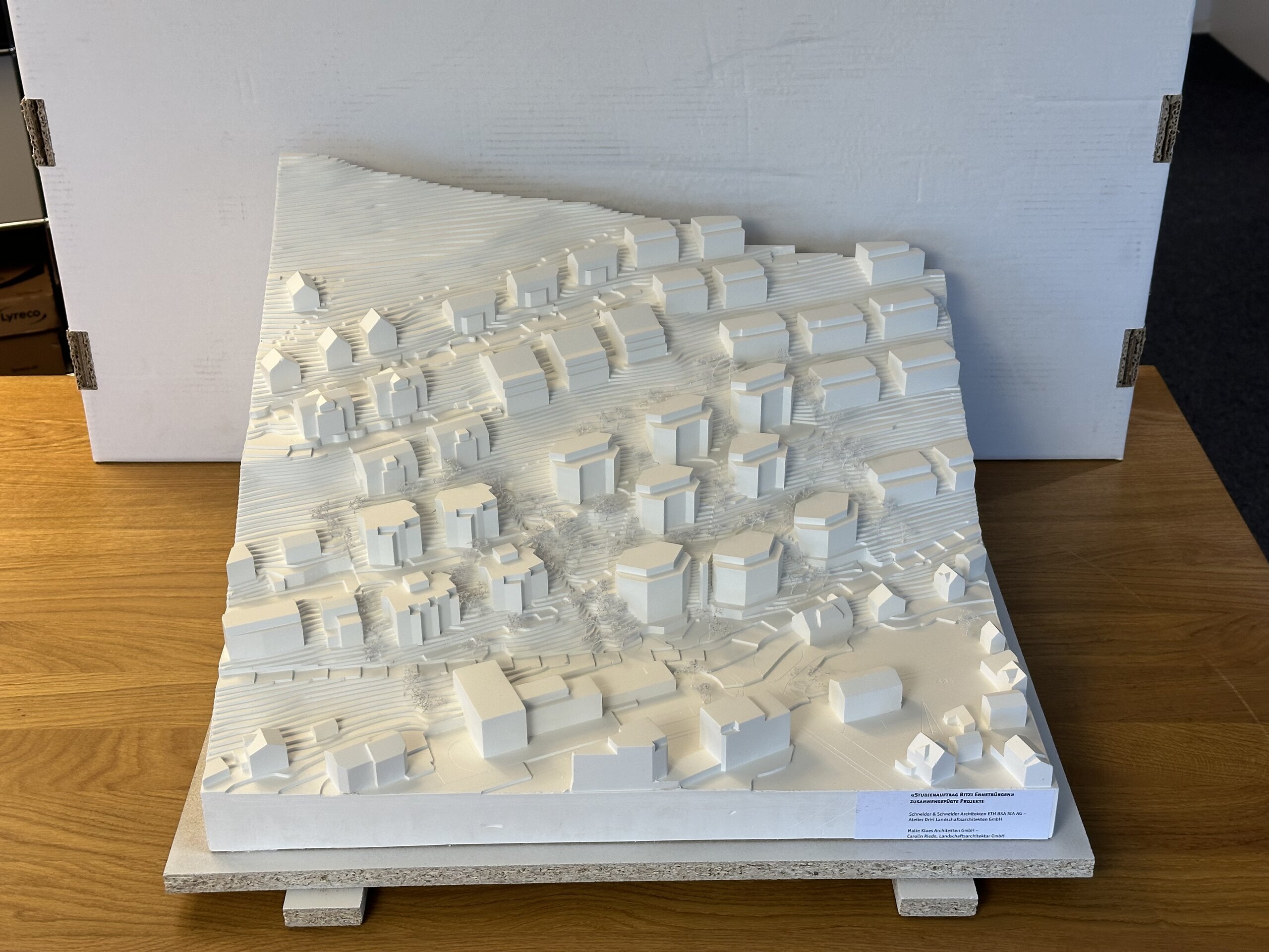 Bitzi Ennetbürgen : Projekt